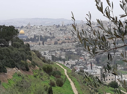 Baka | Jerusalem Real Estate - T&T